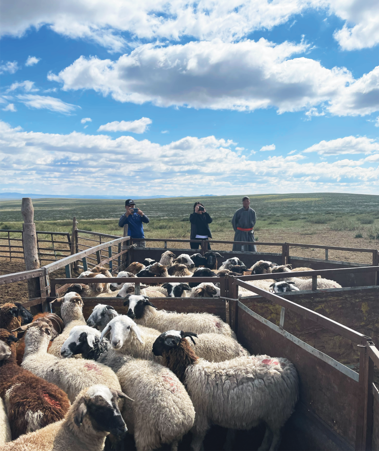 In The Great Plains of Mongolia at the Invitation of The Government of ...